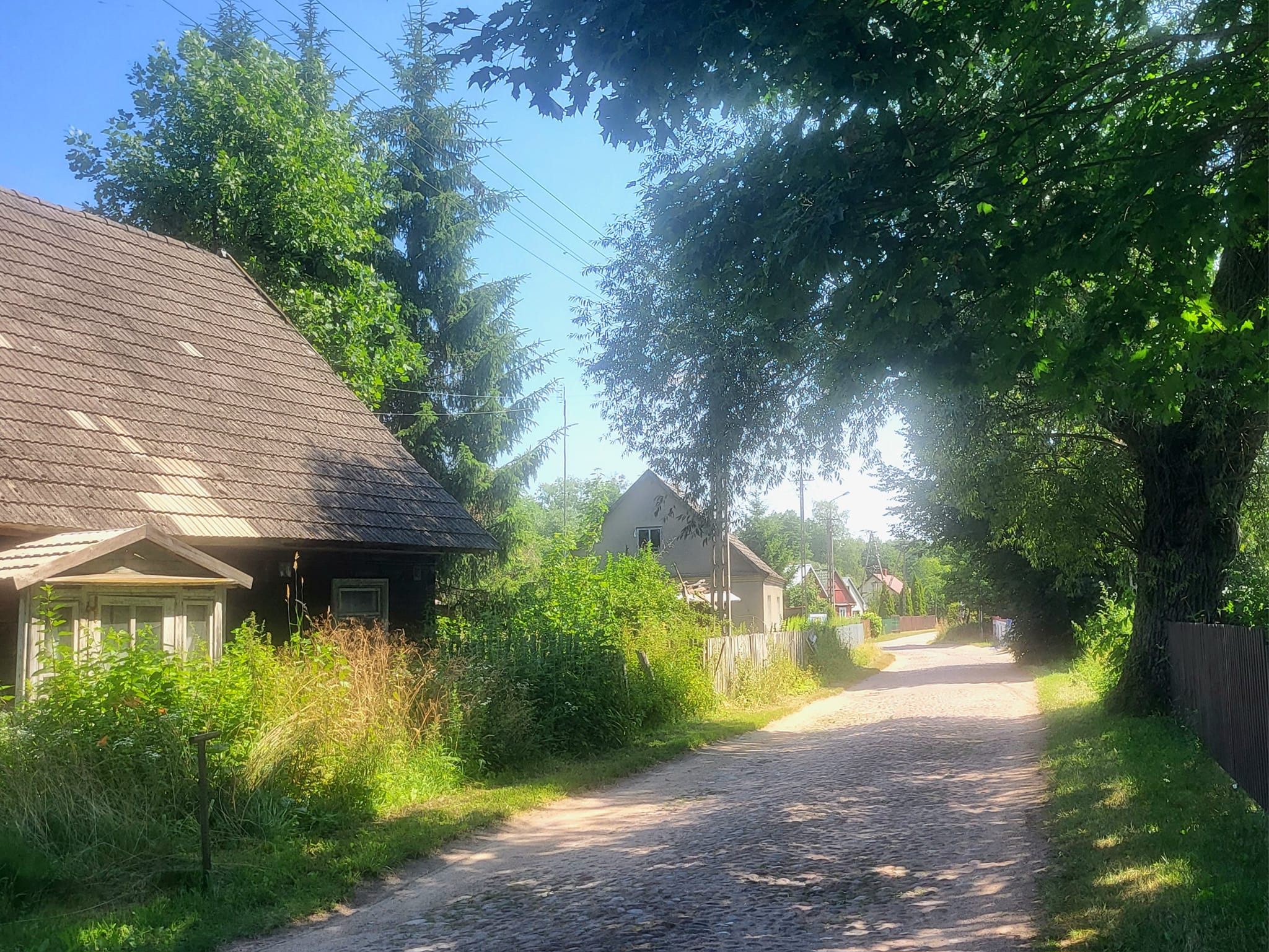 „Nawołocz” mówi - Czasopis